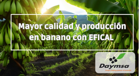 Artículos técnicos - daymsa.com