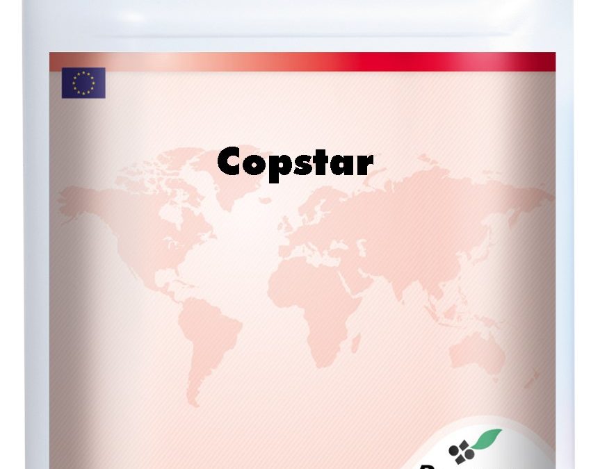 ECOCERT archivos - daymsa.com