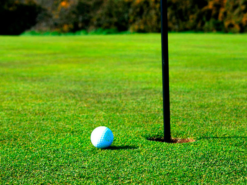 Césped - daymsa.com